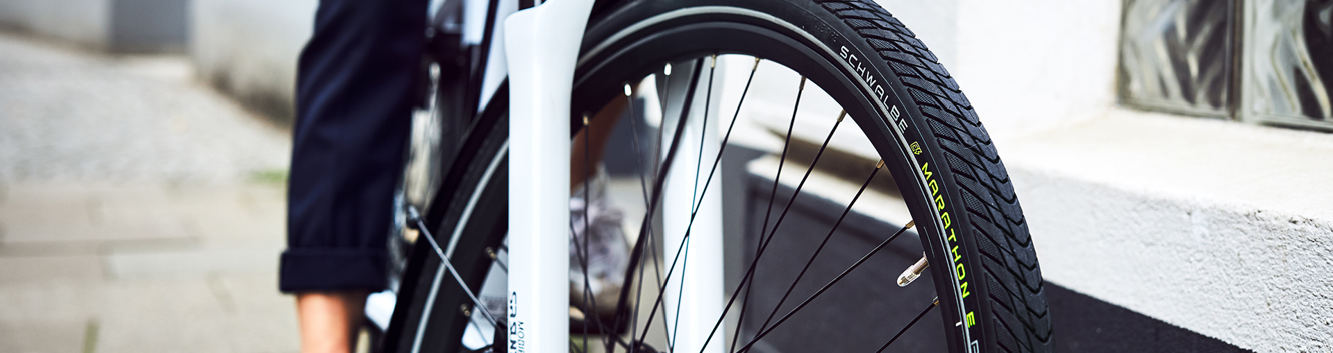 Downloadbereich | Schwalbe