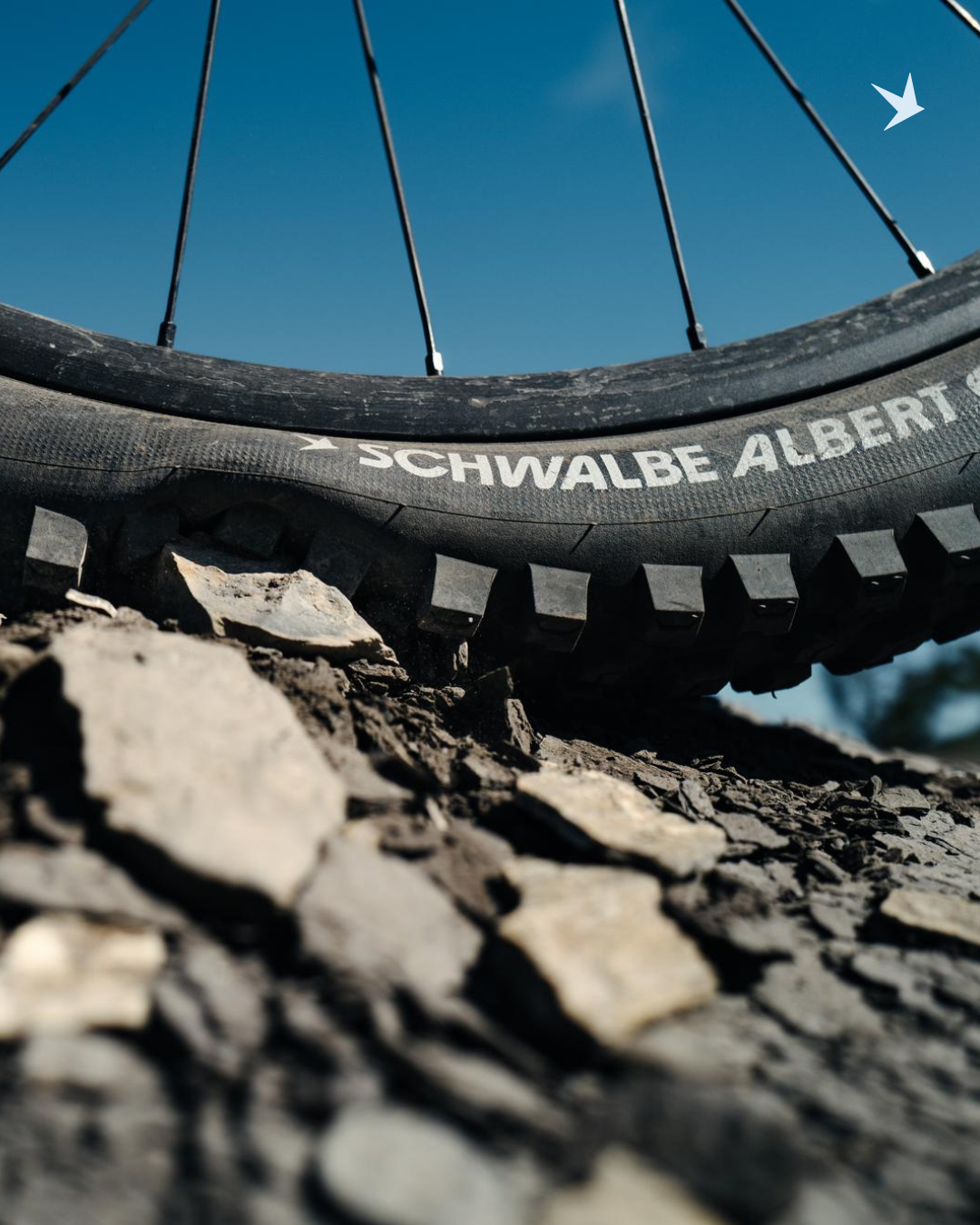 Radialreifen MTB | Schwalbe