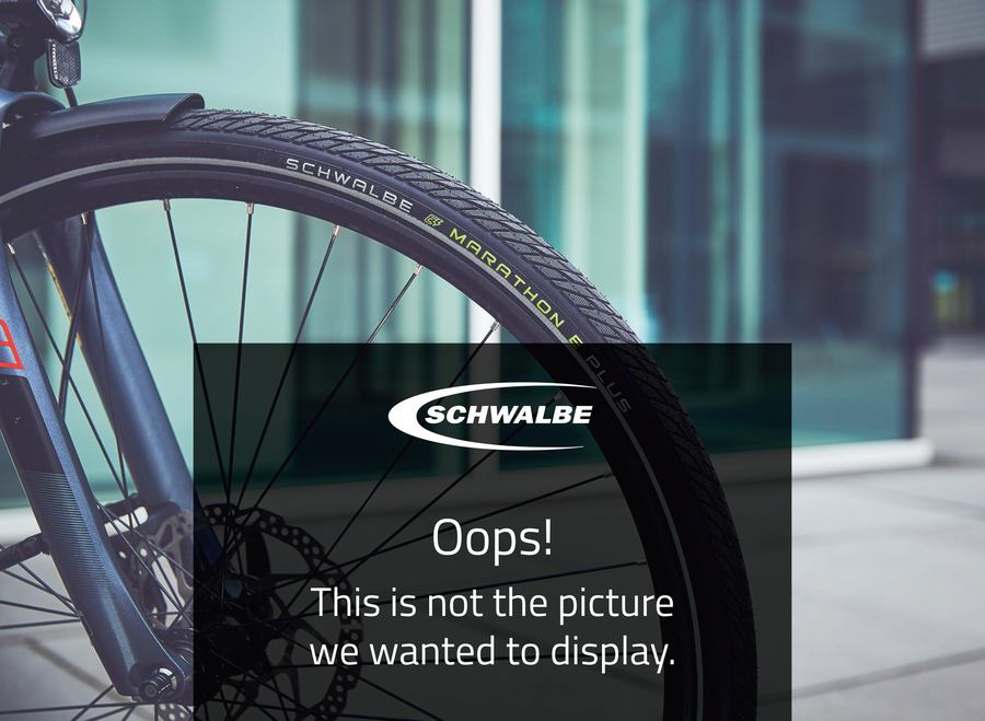 Schwalbe G-One R PRO | 35-622 | TLR | Folding | V-Guard | ADDIX Race ...